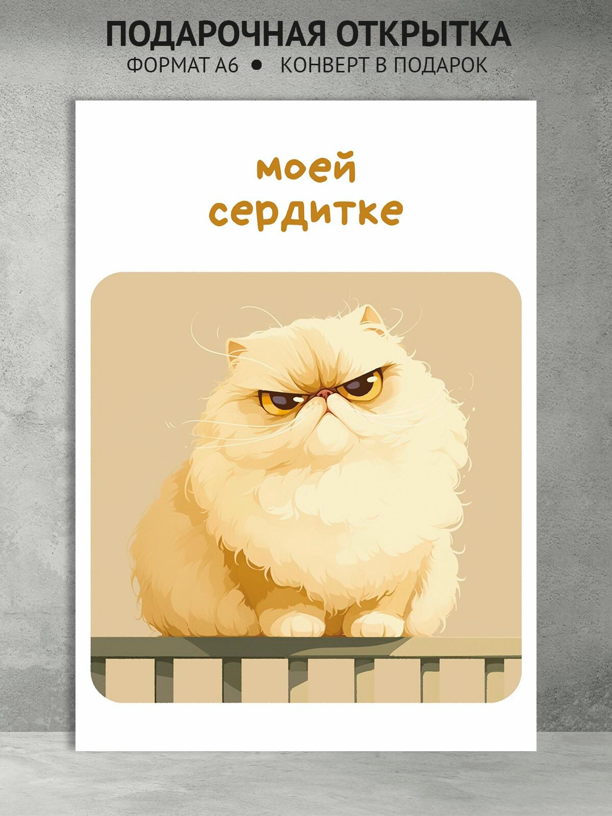 Подарочная открытка со смешной иллюстрацией персидского кота "Моей сердитке" с днем рождения, с юбилеем, без повода