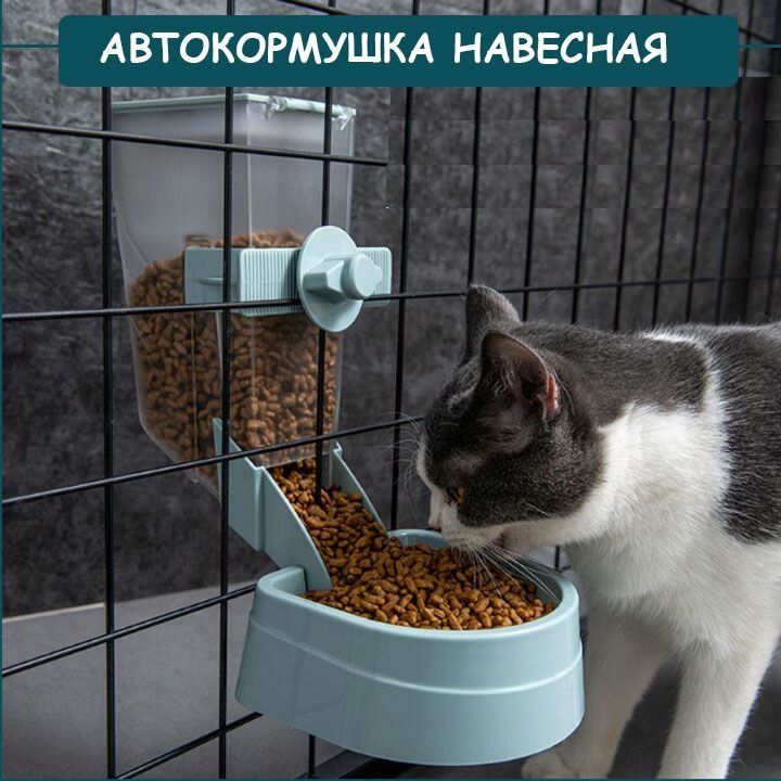 Автоматическая кормушка навесная для животных/Автокормушка для кошек, собак, грызунов, цвет голубой
