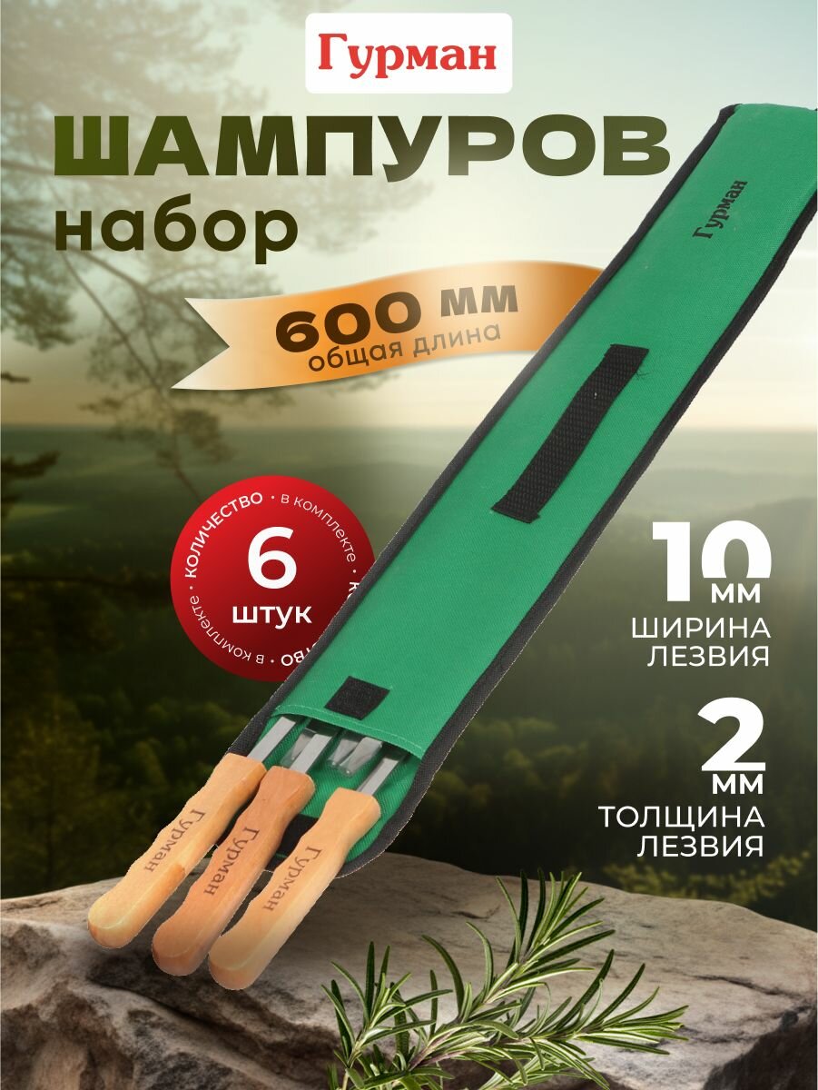 Набор шампуров 6 шт, 600х10х2 мм с деревянной ручкой в чехле, Гурман