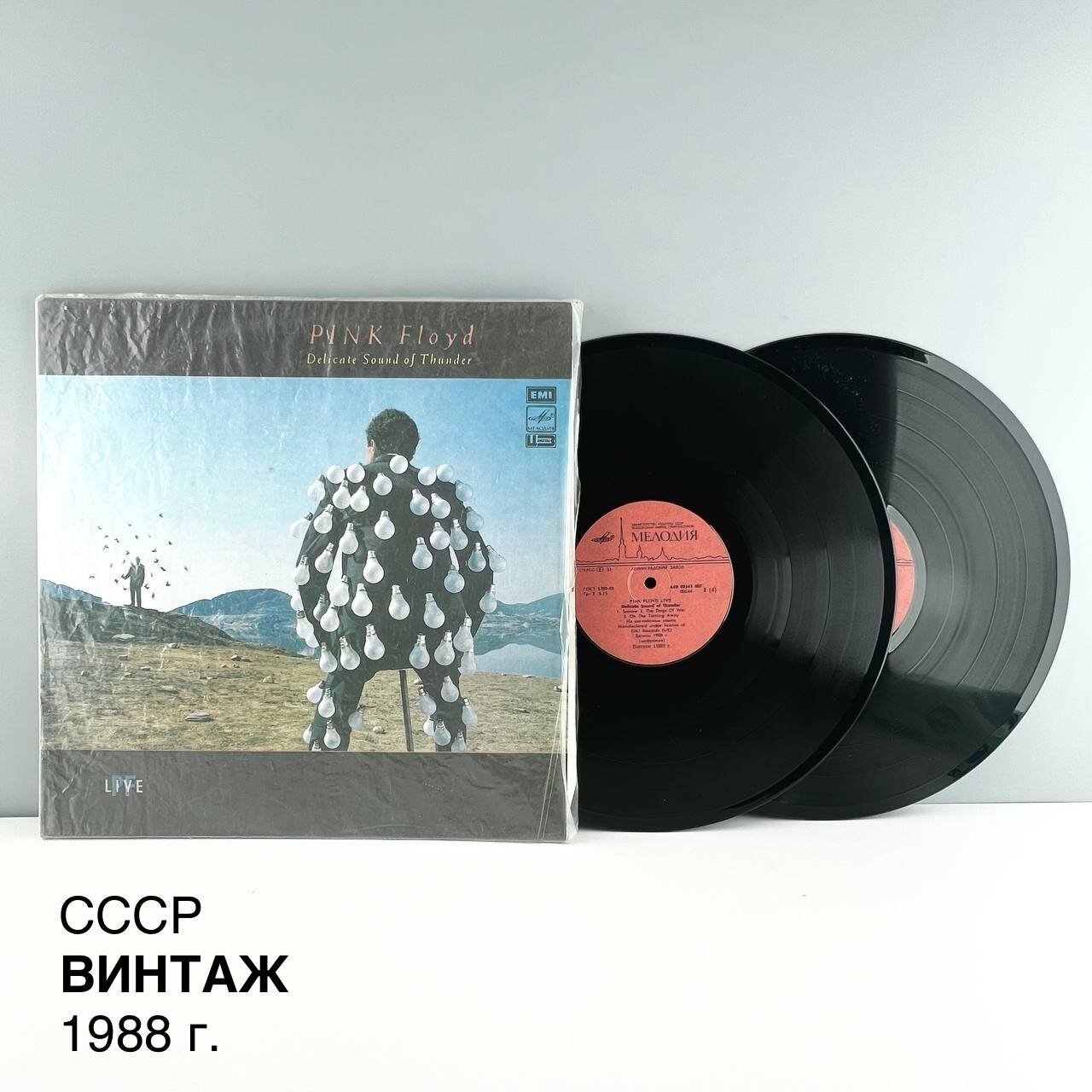 Винтажная виниловая пластинка "Pink Floyd. Delicate Sound of Thunder". Комплект 2 шт. Мелодия. СССР, 1988 г.