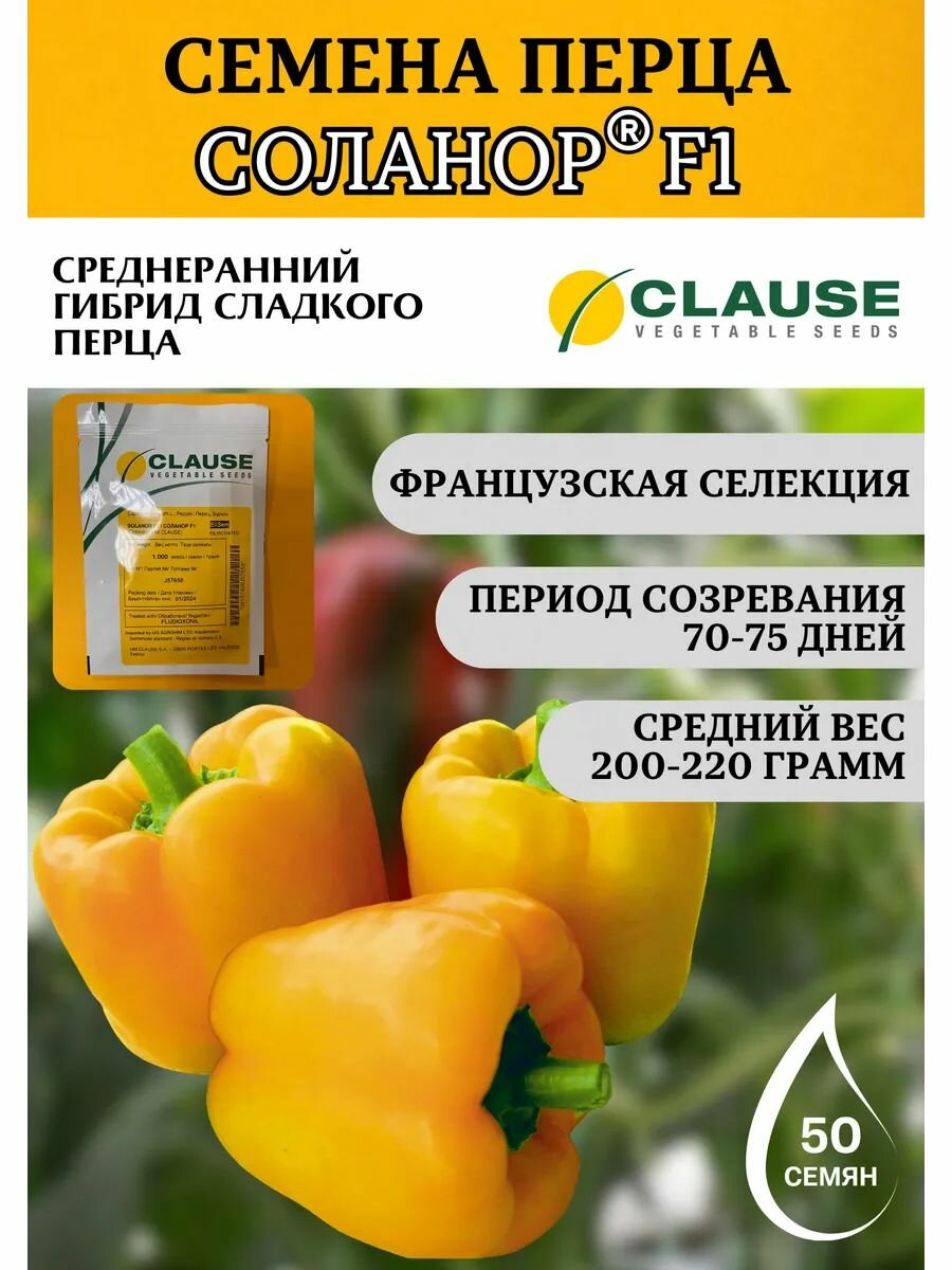 Семена перца Соланор F1 Clause 50 штук профессиональные семена