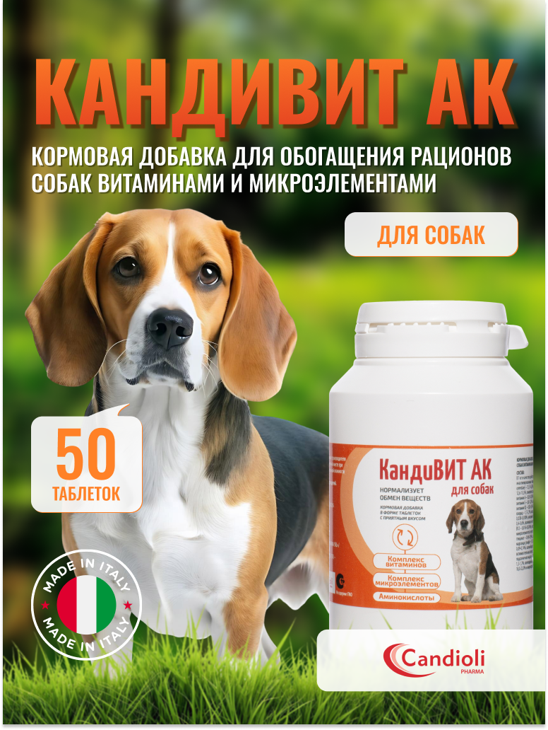 КандиВит АК витамины для собак, 50 т