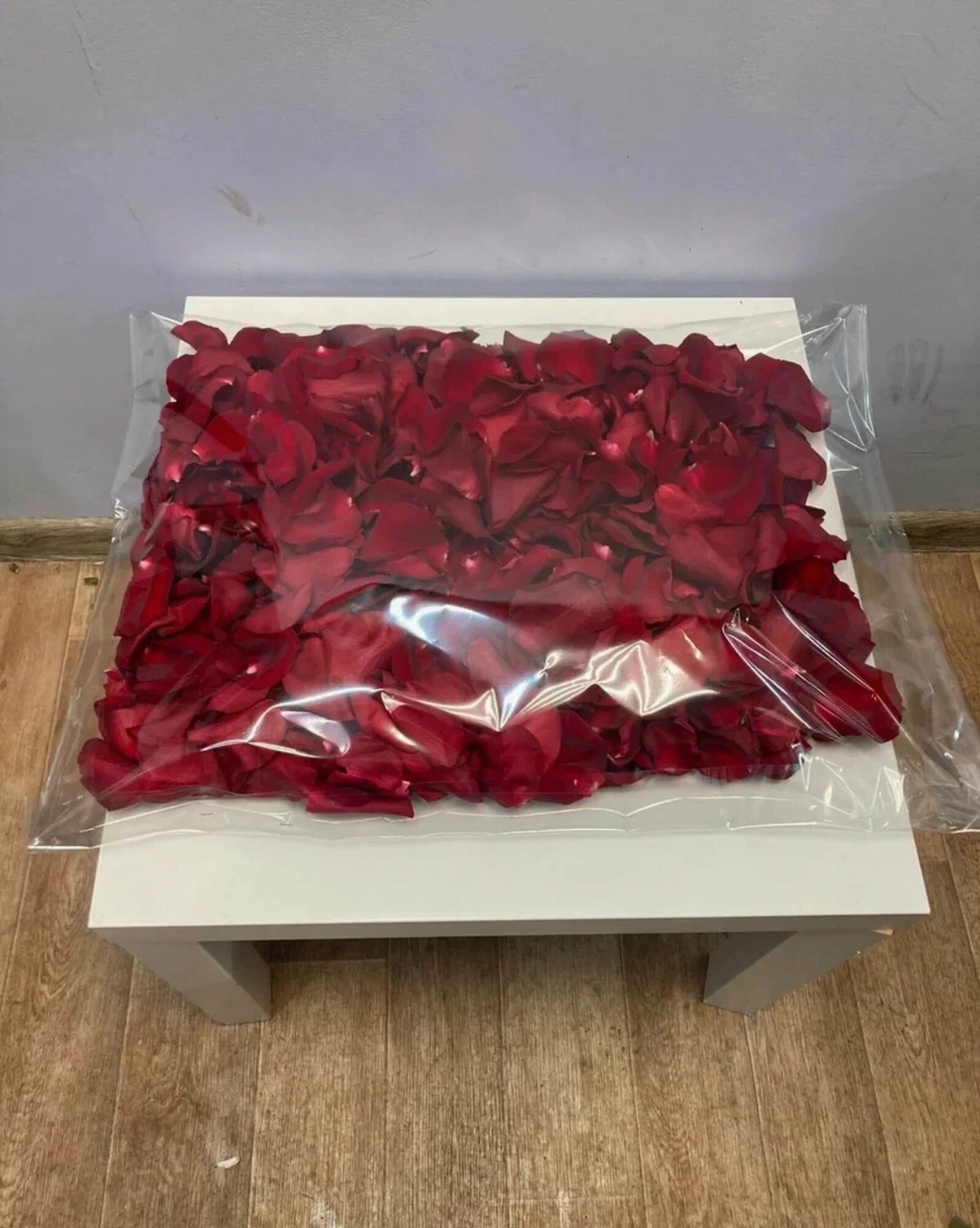 Лепестки роз ShokoFlowers, для декора, 20 лепестков, красные