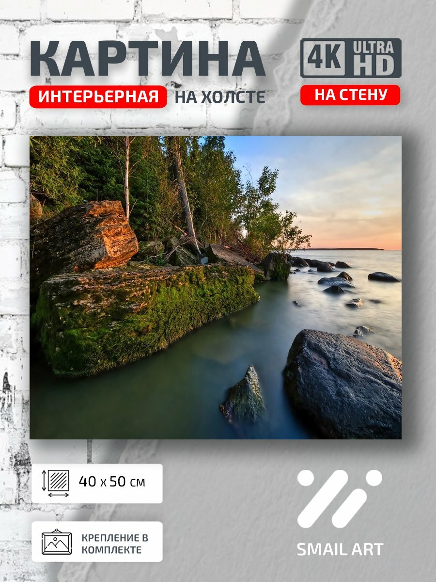 Картина на холсте интерьерная 40 на 50 на стену Мох Landscape для кафе пейзаж интерьер