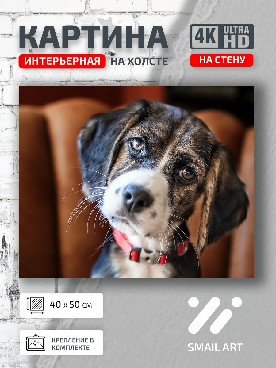 Картина на холсте интерьерная 40 на 50 на стену Мордочка Mood для кабинета атмосфера декор