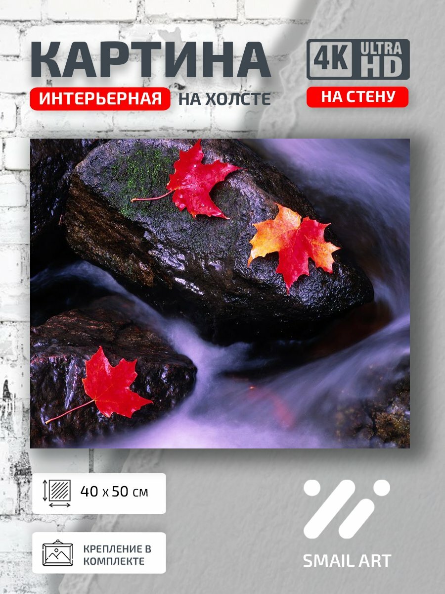 Картина на холсте интерьерная 40 на 50 на стену Реке Landscape для кафе пейзаж интерьер