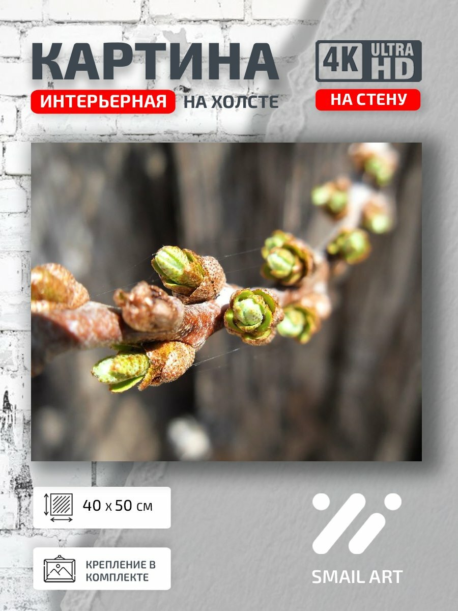 Картина на холсте интерьерная 40 на 50 на стену Ветка Mood для кабинета атмосфера интерьер