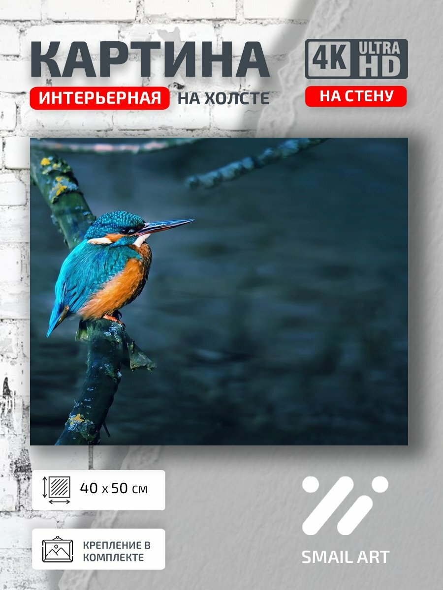 Картина на холсте интерьерная 40 на 50 на стену Ветке Animal для кабинета animal style