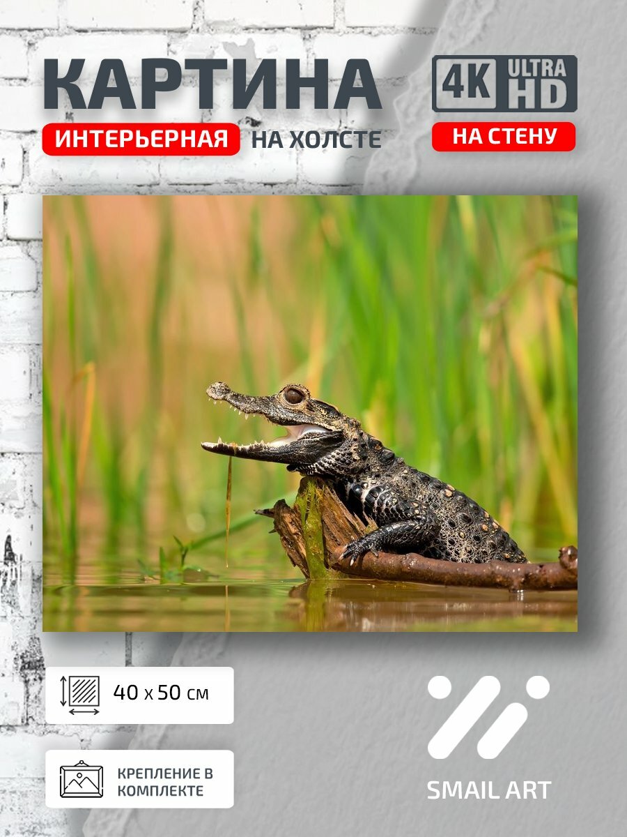 Картина на холсте интерьерная 40 на 50 на стену Ветка Landscape для гостиной пейзаж декор