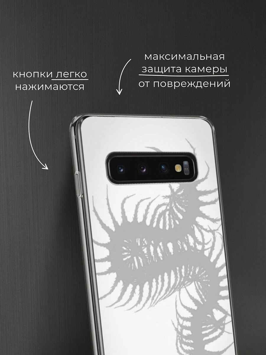 Чехол на Samsung Galaxy S10 / Самсунг Галакси S10 с принтом Серая многоножка — фото 1