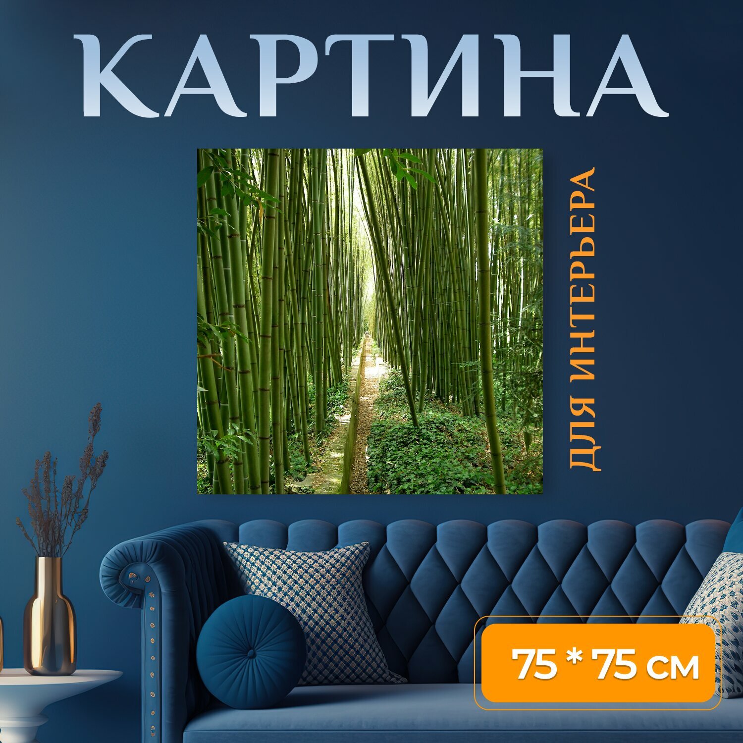 Картина на холсте "Бамбук, сад, японский сад" на подрамнике 75х75 см. для интерьера