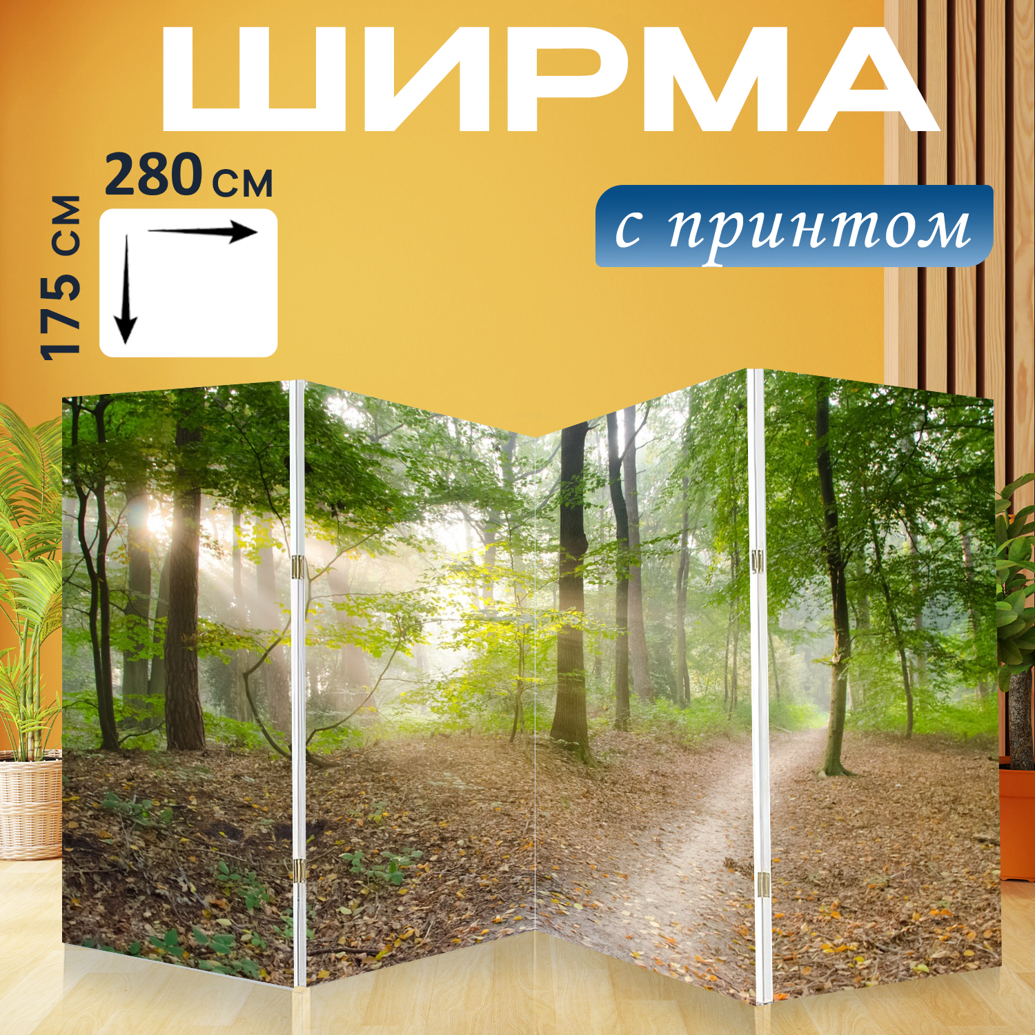 Ширма "Лес, утро, солнечный свет" перегородка для зонирования комнаты с принтом 280x175 см. на холсте