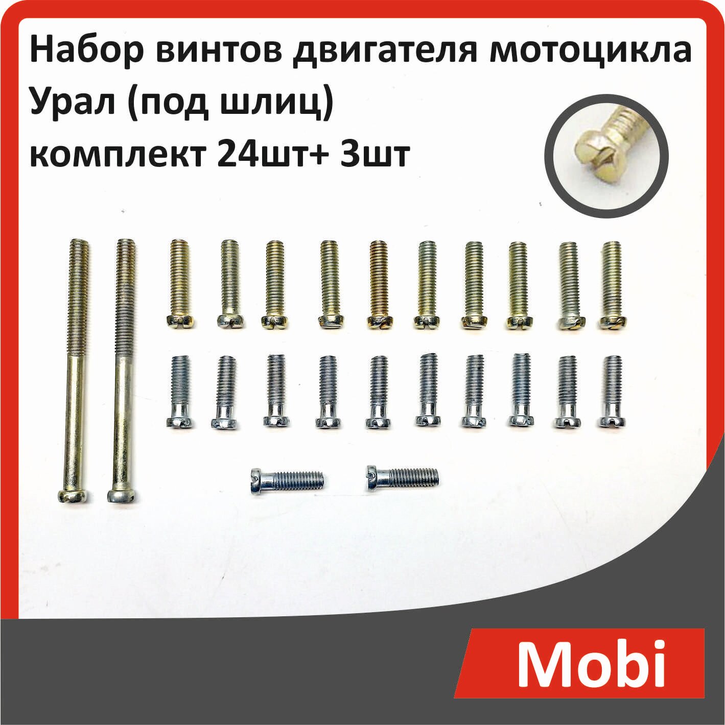 Набор винтов двигателя мотоцикла Урал (под шлиц) комплект 24шт+ 3шт