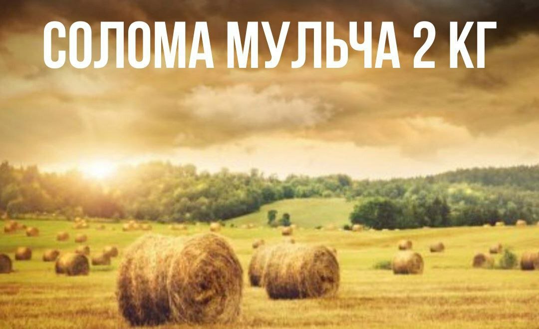 Солома, Подстилка для животных, Грызунов, 2кг