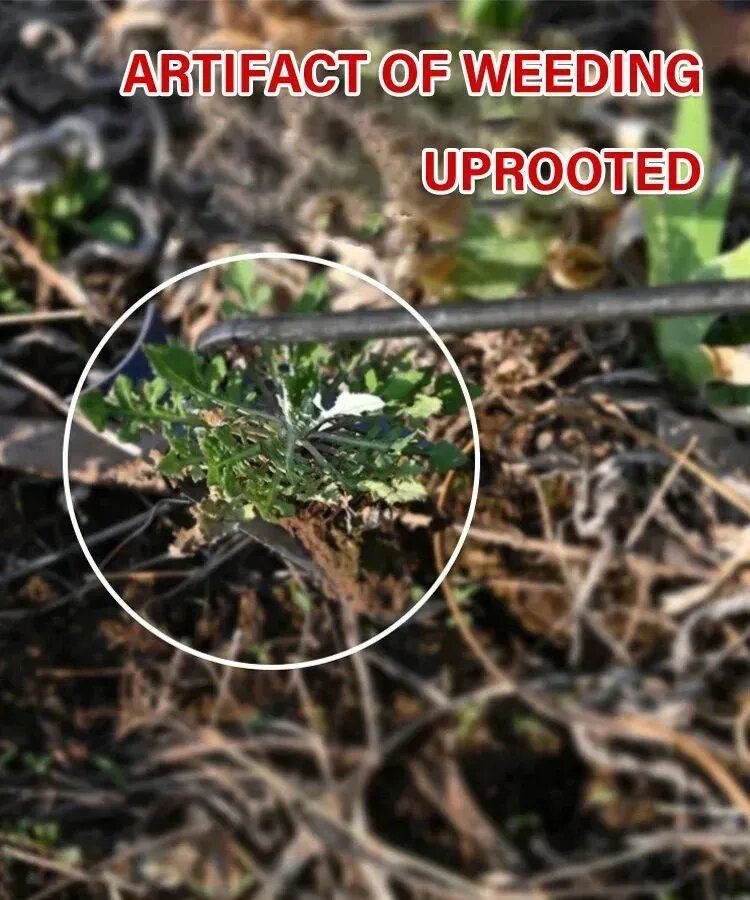 Грабли , Штыревые, Металл, 30 см