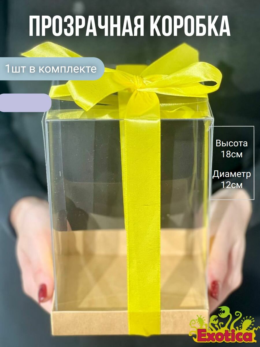 Прозрачная коробка - 12х12х18 см