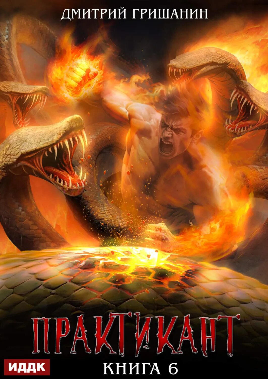 Практикант. Книга 6 [Цифровая книга]