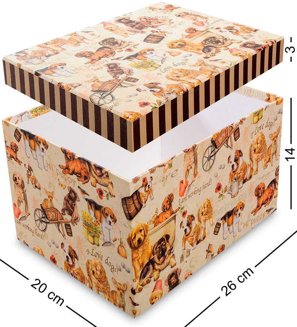 Коробка Прямоугольник мал. WA-31-1/12 Packing Symphony Финляндия Картон, бумага