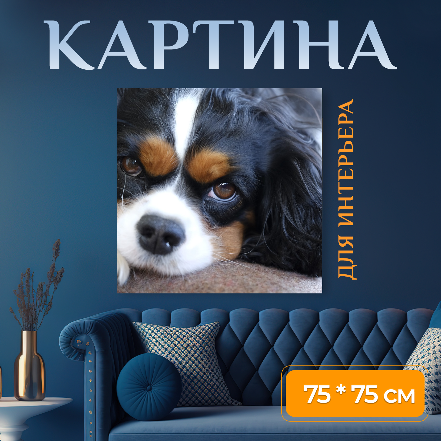 Картина на холсте "Кавалер кинг чарльз, кавалер кинг чарльз спаниель, спаниель" на подрамнике 75х75 см. для интерьера