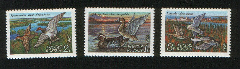 Россия, 1992. (0035-37) Птицы, утки