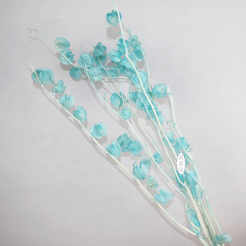 Вечный ветровой колокольчик, фонарь из сухофруктов, свадебное украшение, домашняя цветочная композиция, кислая ягода, настоящий цветок для оконного декора