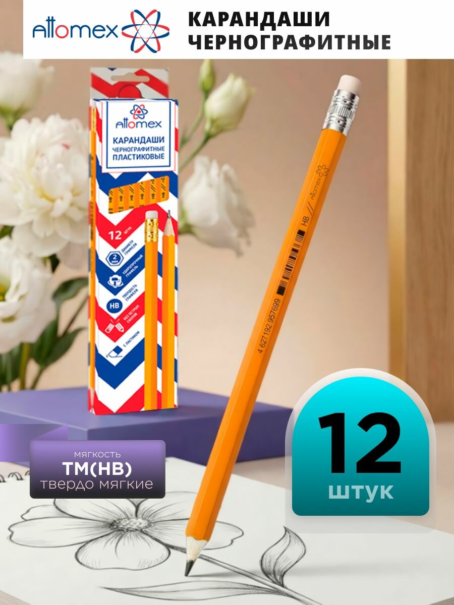 Карандаши простые чернографитные HB/ТМ 12 штук
