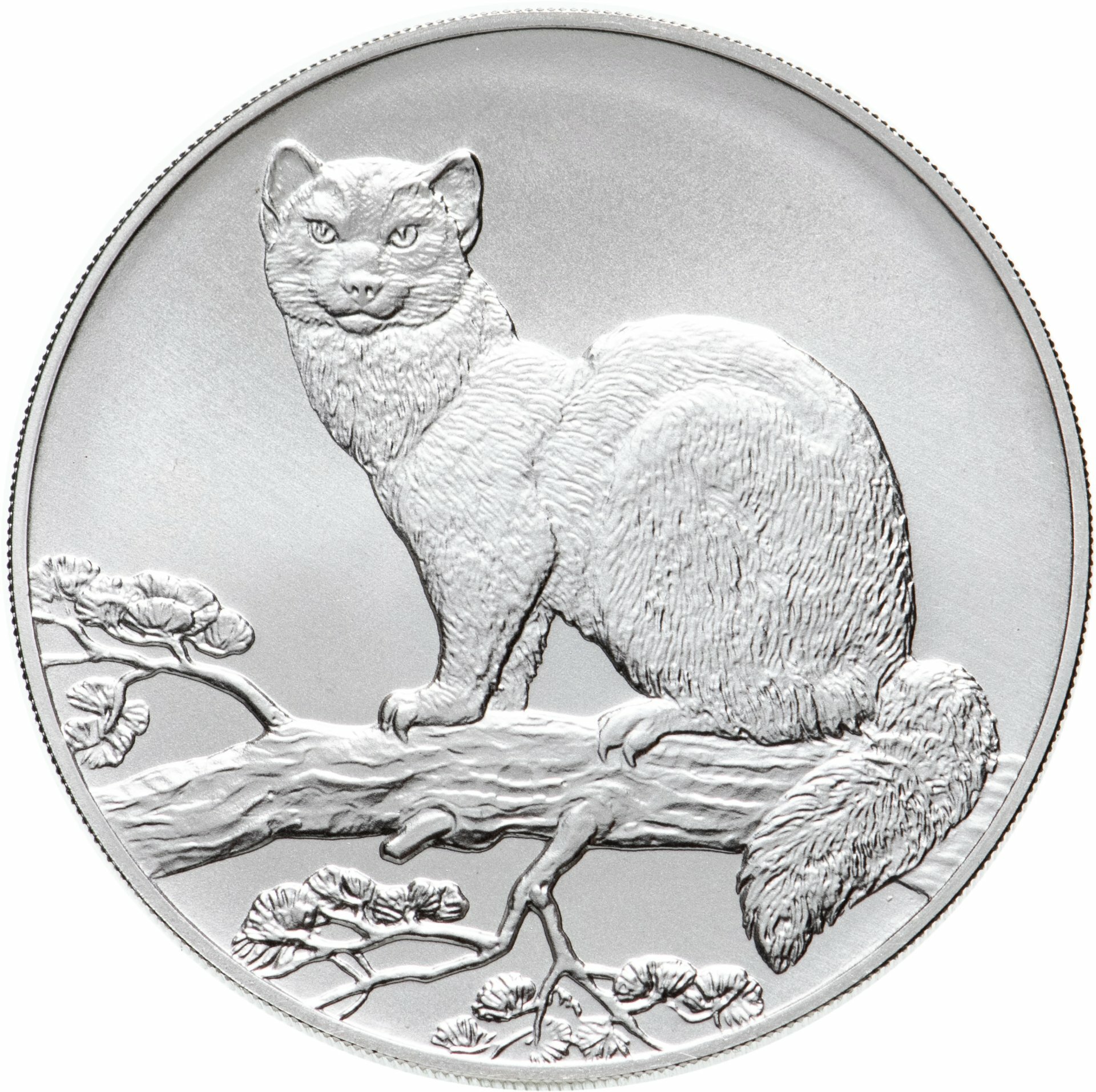 3 рубля 1995 ЛМД UNC "Соболь" в капсуле, Серебро 925