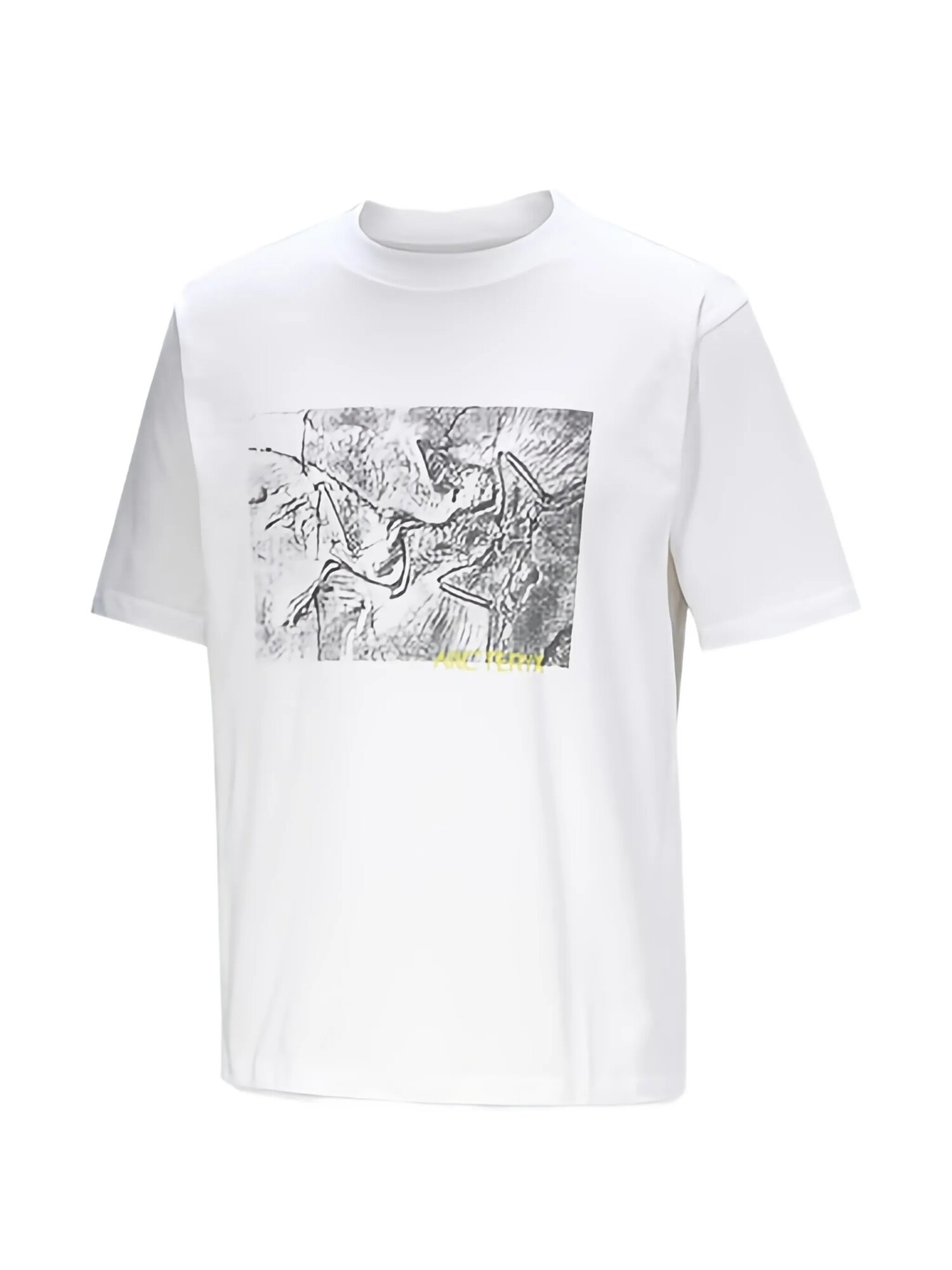 Футболка Arc'teryx Kragg