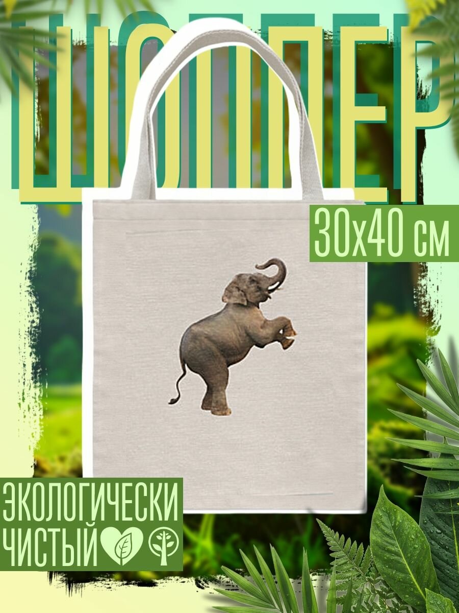 Сумка шоппер