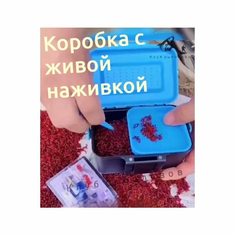 Ящик для хранения живой наживки, красных червей, дождевых червей, опарыша