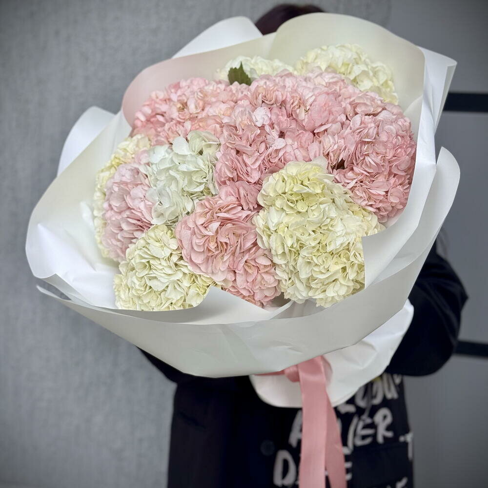 Букет цветов из 11 колумбийских гортензий нежный белый розовый, высота 50 см