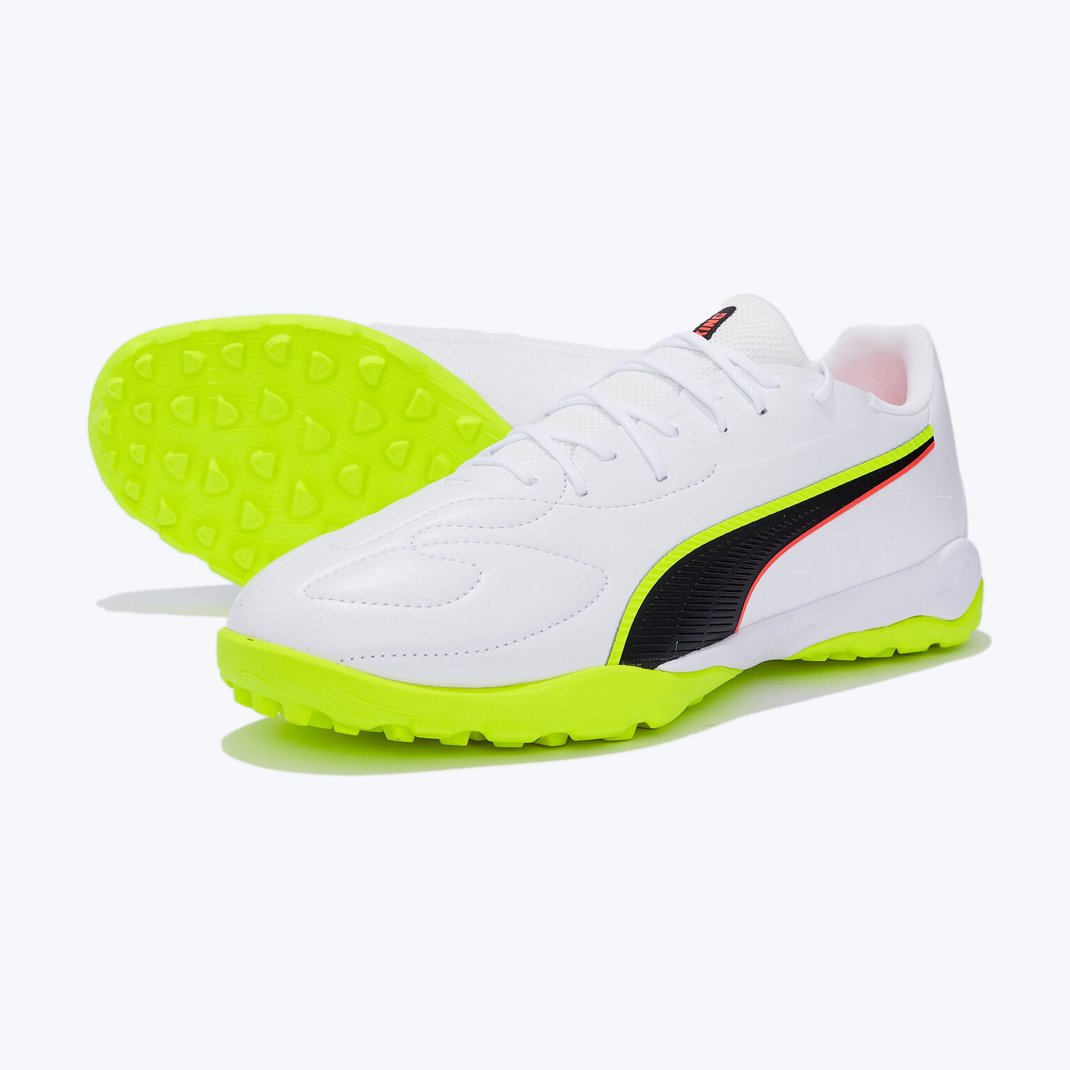 Сороконожки