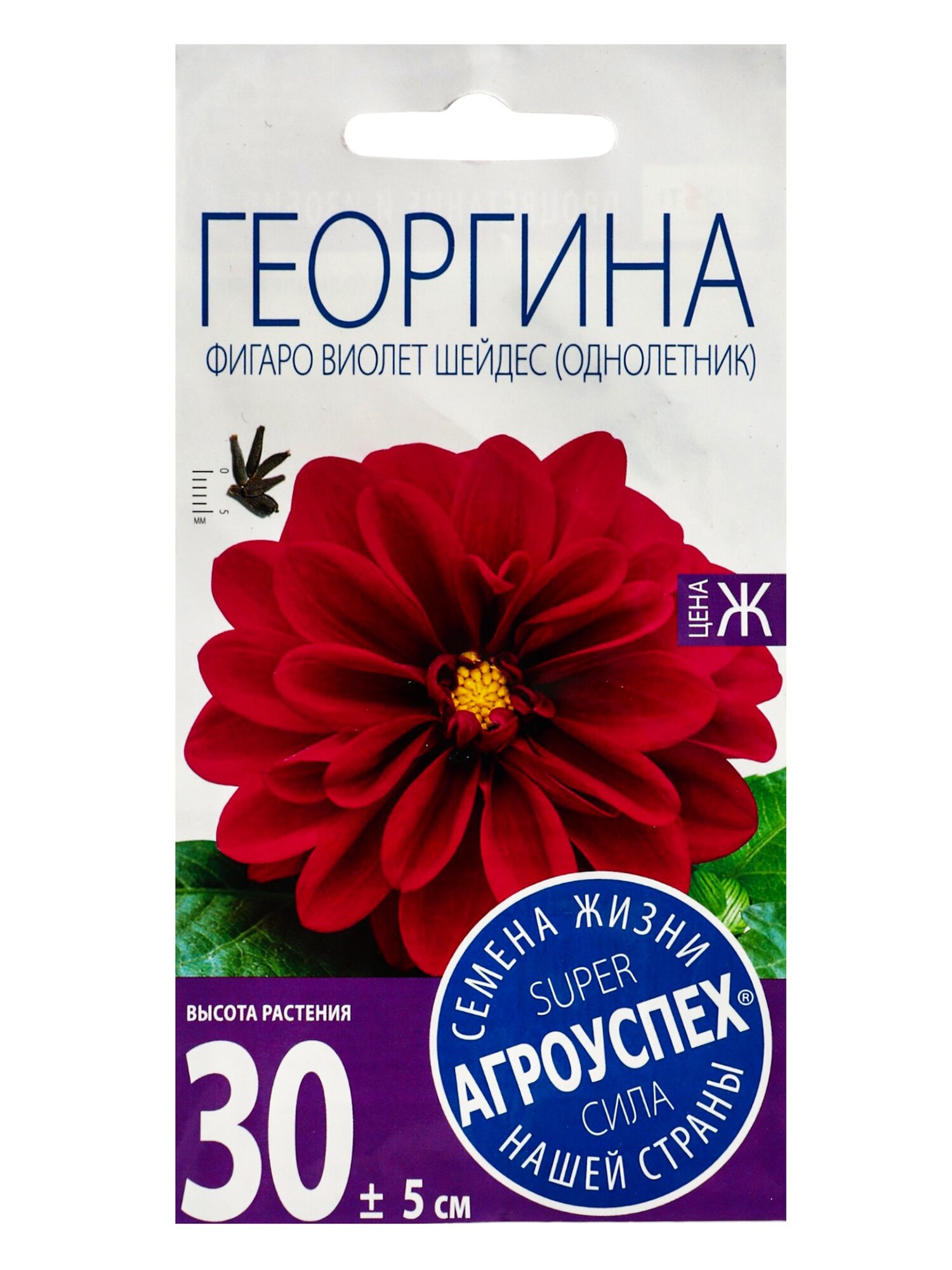 Семена цветов Георгина «Фигаро Виолет Шейдес», «Агроуспех» 7 шт.
