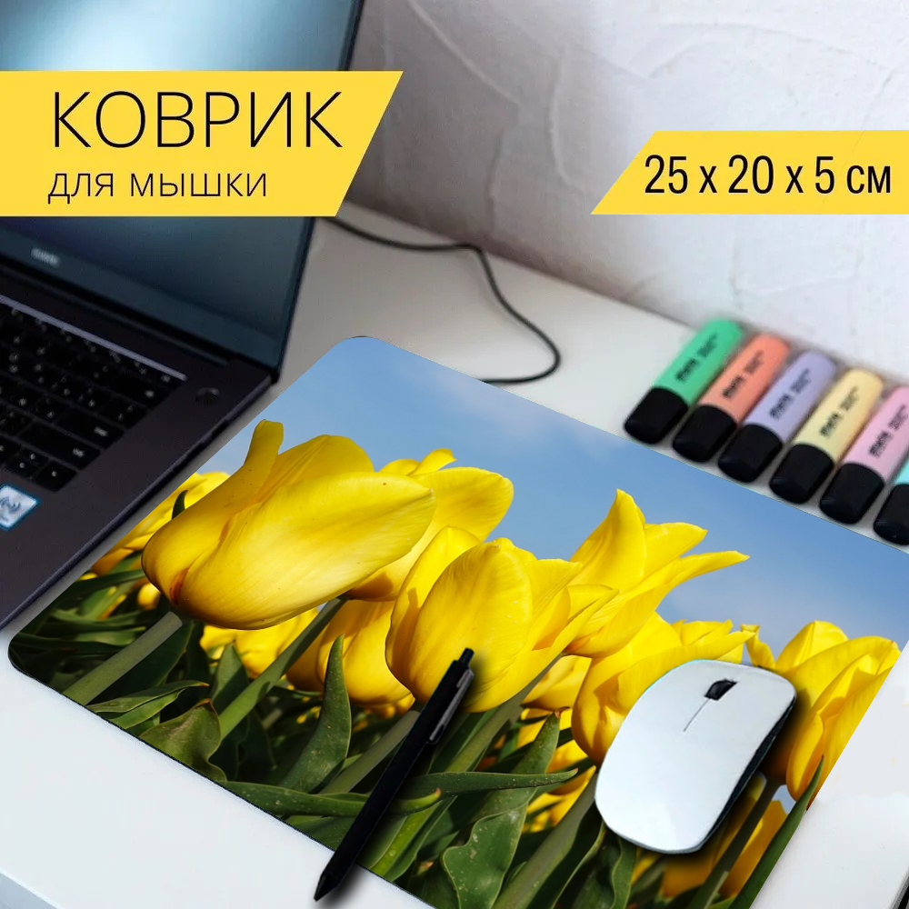 Коврик для мыши с принтом "Тюльпаны, жёлтый, поля тюльпанов" 25x20см.