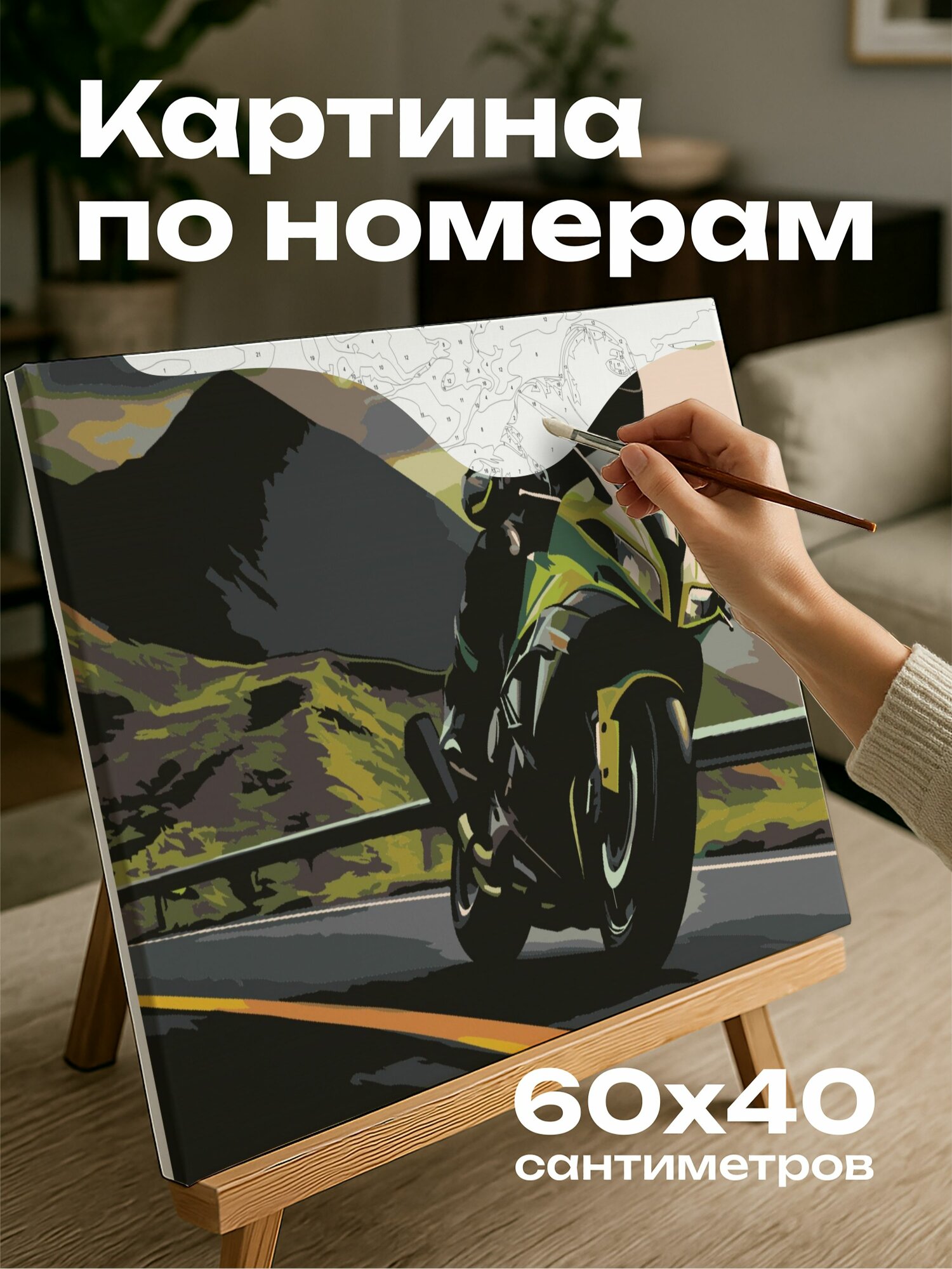 Картина по номерам 60x40 см, фотография, мотоциклист, горная дорога, пейзаж, экипировка, велосипед, зелень, небо, ISO