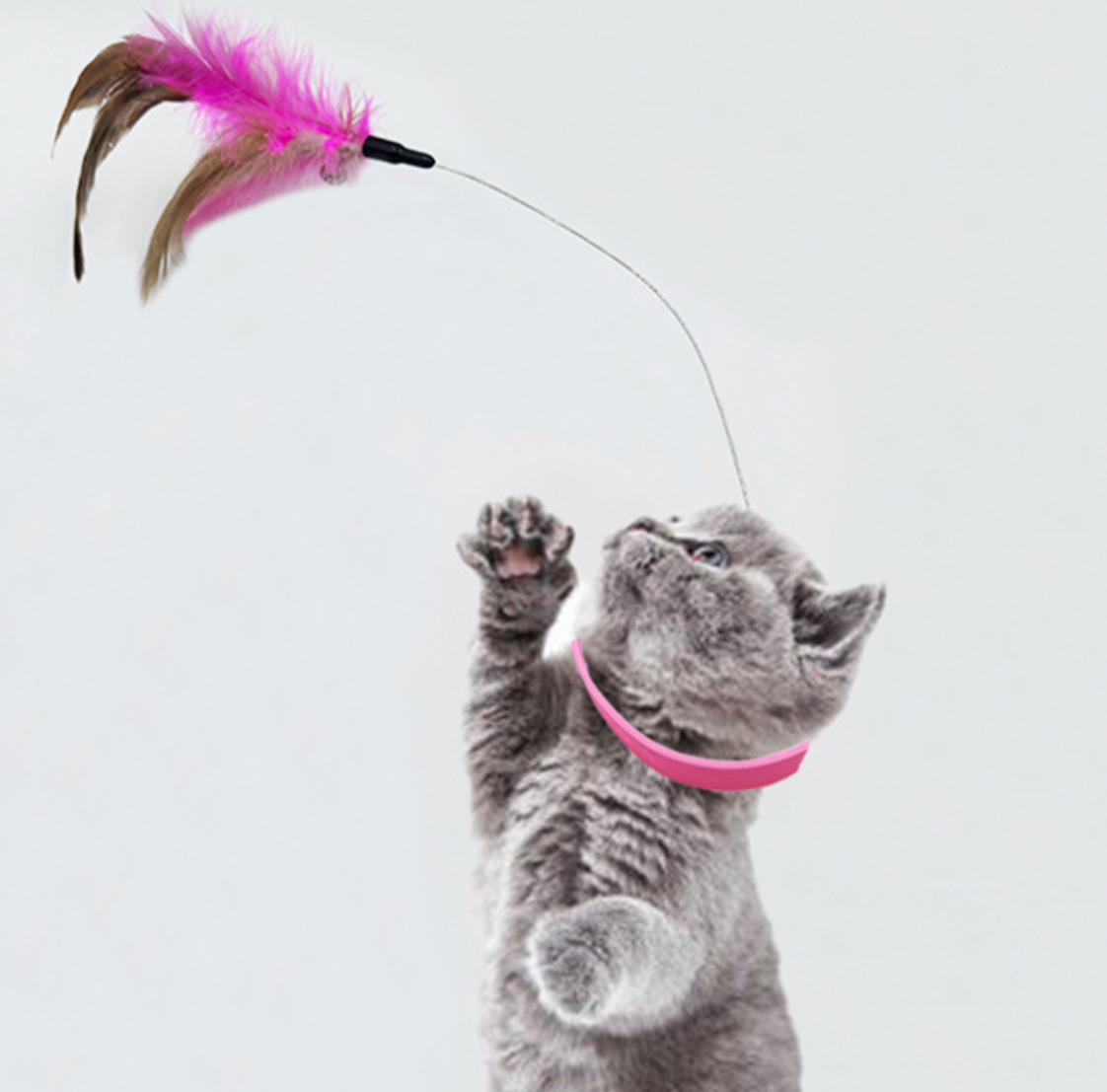 Набор игрушек для кошек, ошейник для шеи, забавная кошачья палочка из перьев, синий, подходит для шеи 17-27 см