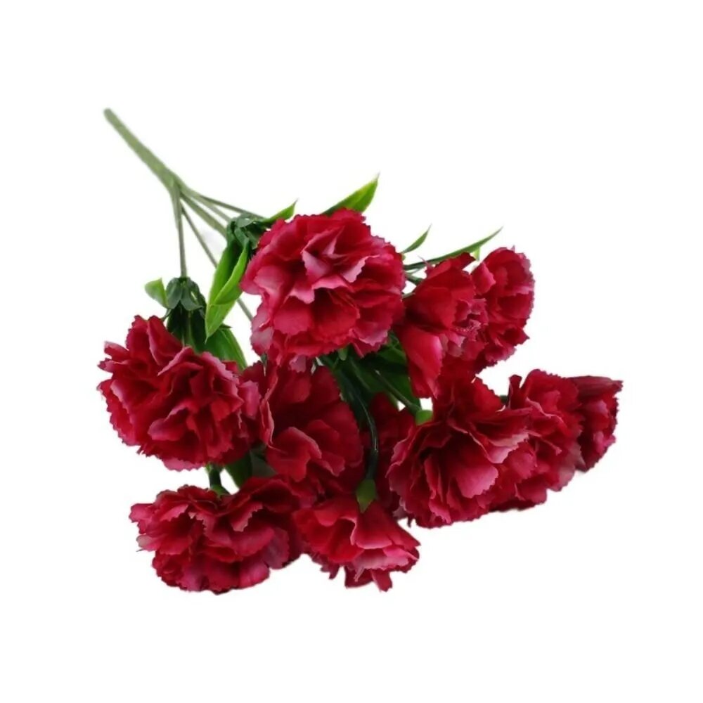Стабилизированные цветы Гвоздика, 30 см