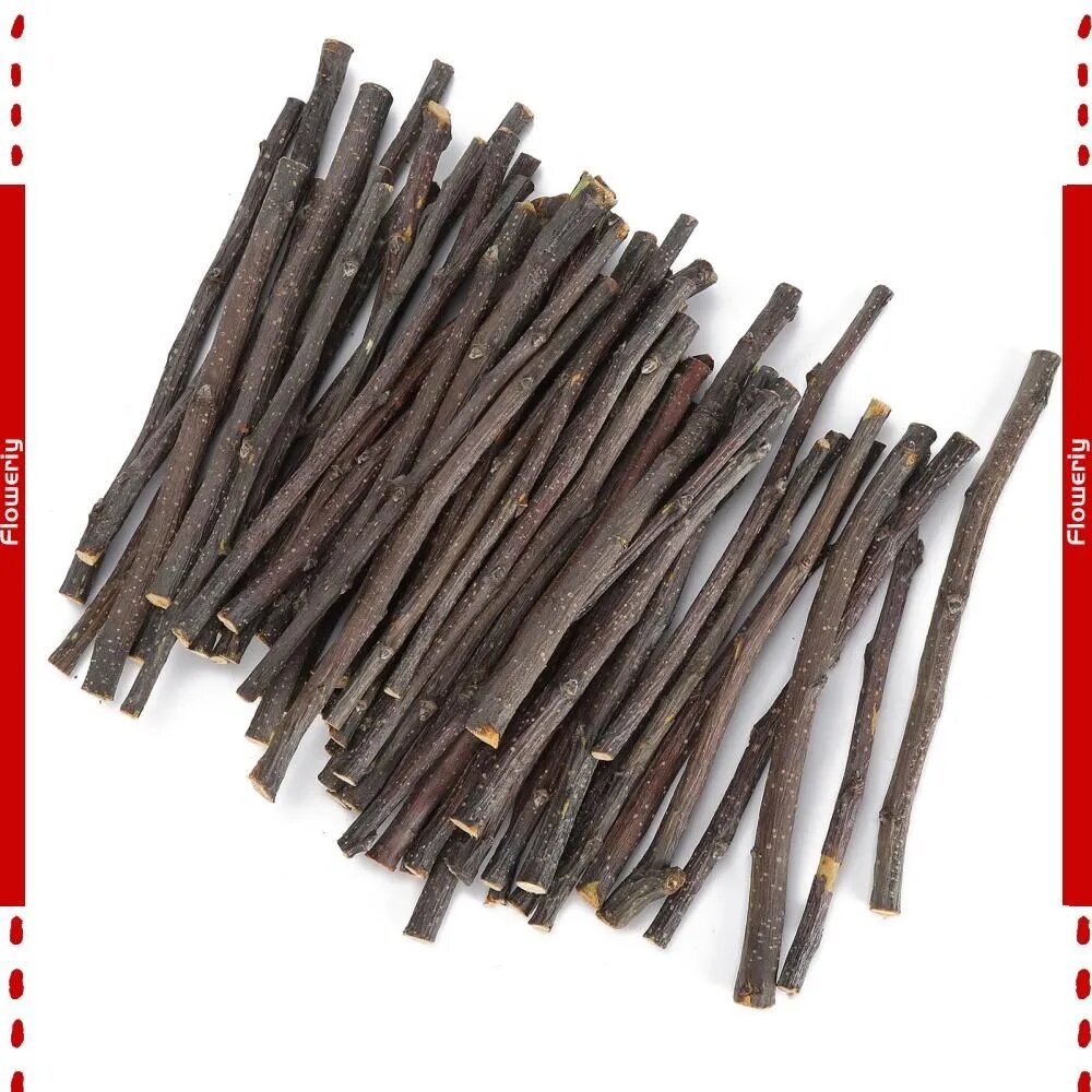 Палочки из яблоневого дерева для грызунов, крепкие и вкусные, для хомяков и шиншилл