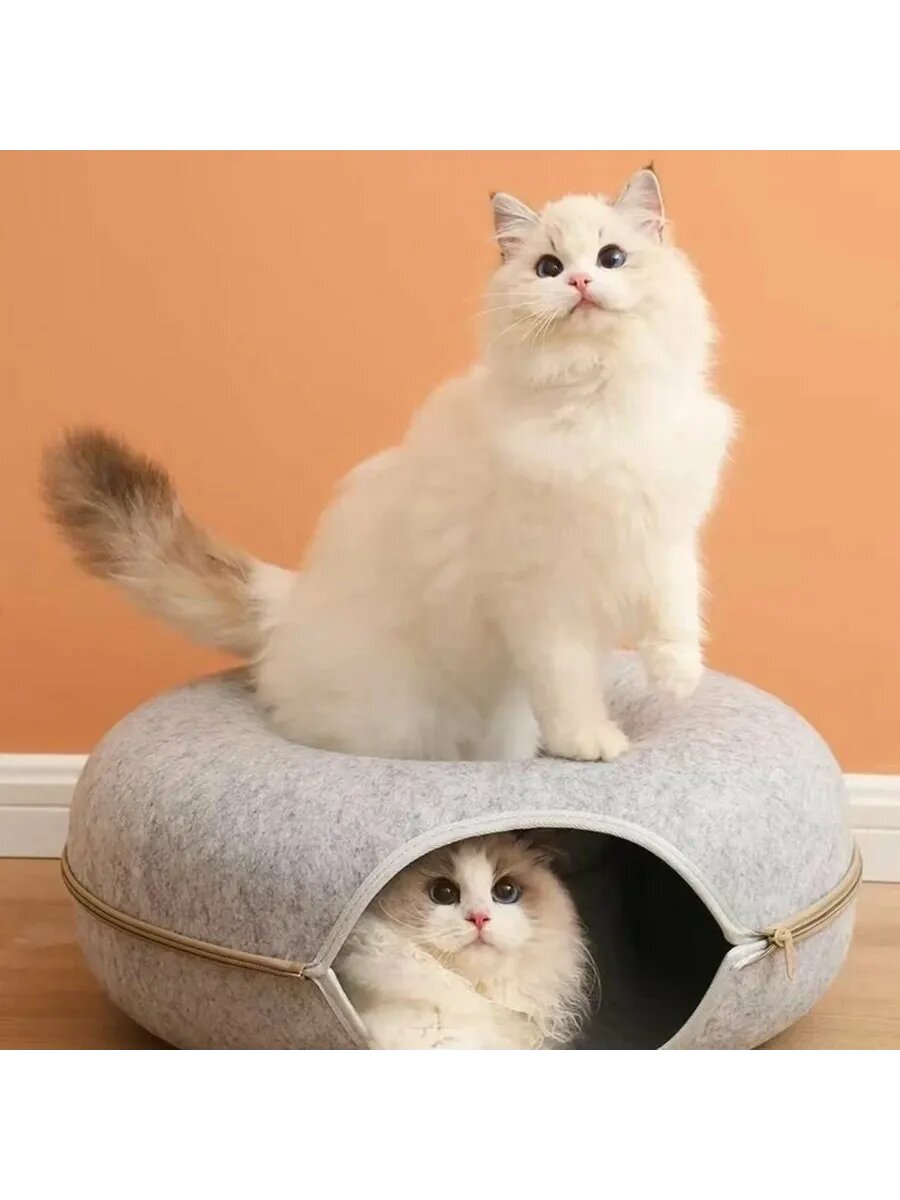 Домик для кошек и собачек