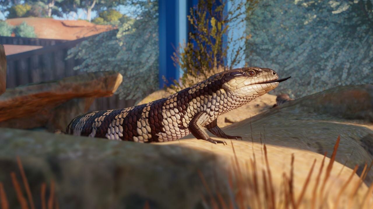Planet Zoo - Australia Pack DLC PC Steam Ключ • Активация Steam
