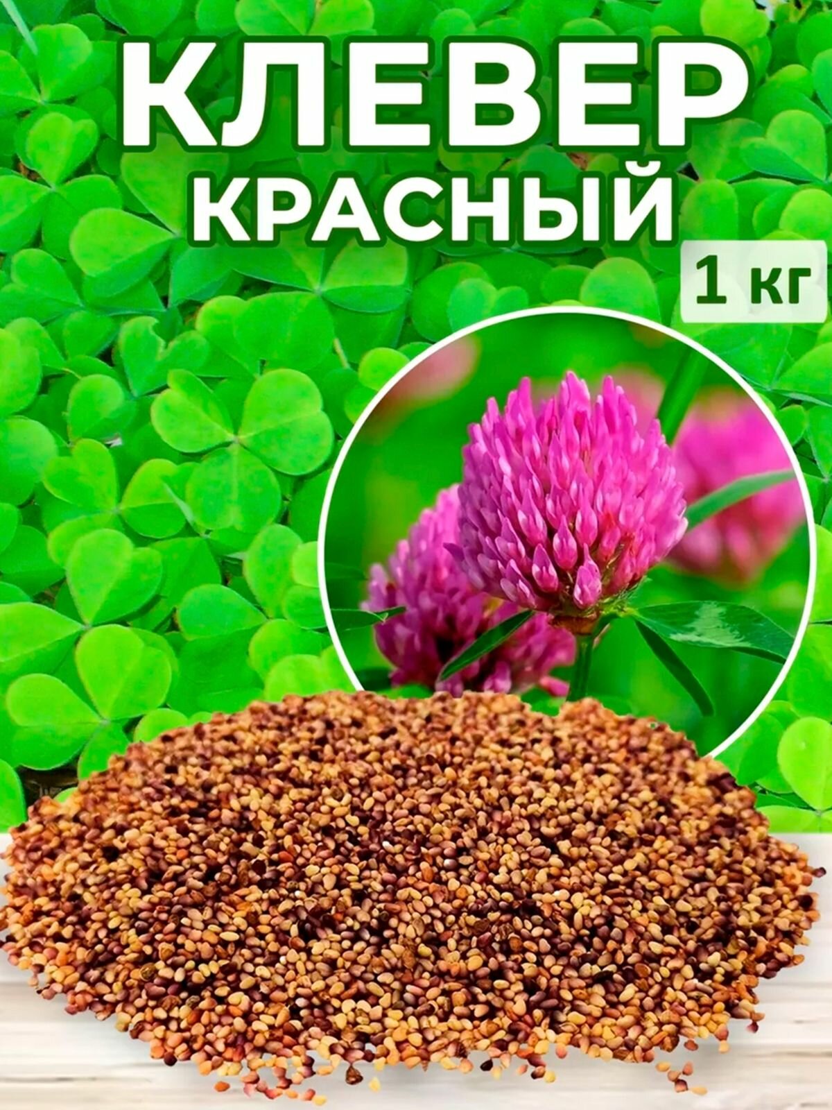 Семена сидерата клевер красный, газонная трава 1 кг