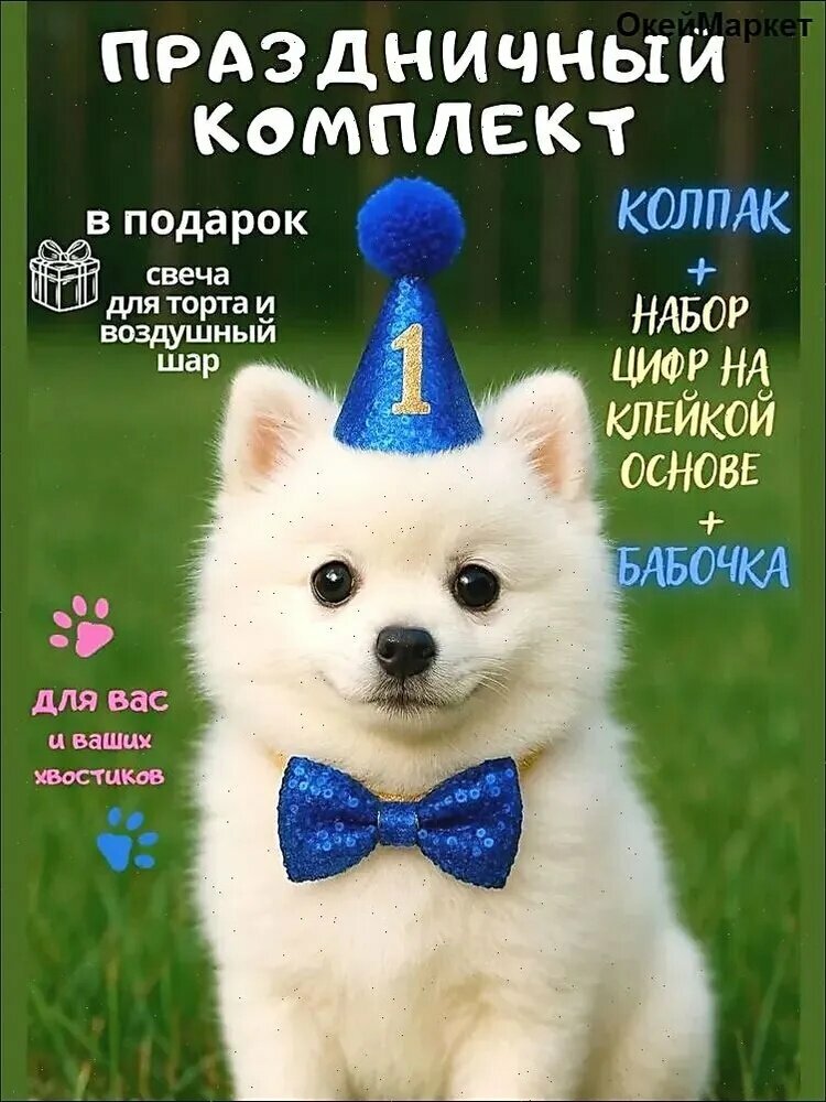 Набор для дня рождения собаки и кошки, праздничный, синий: костюм, колпак, бабочка, цифры