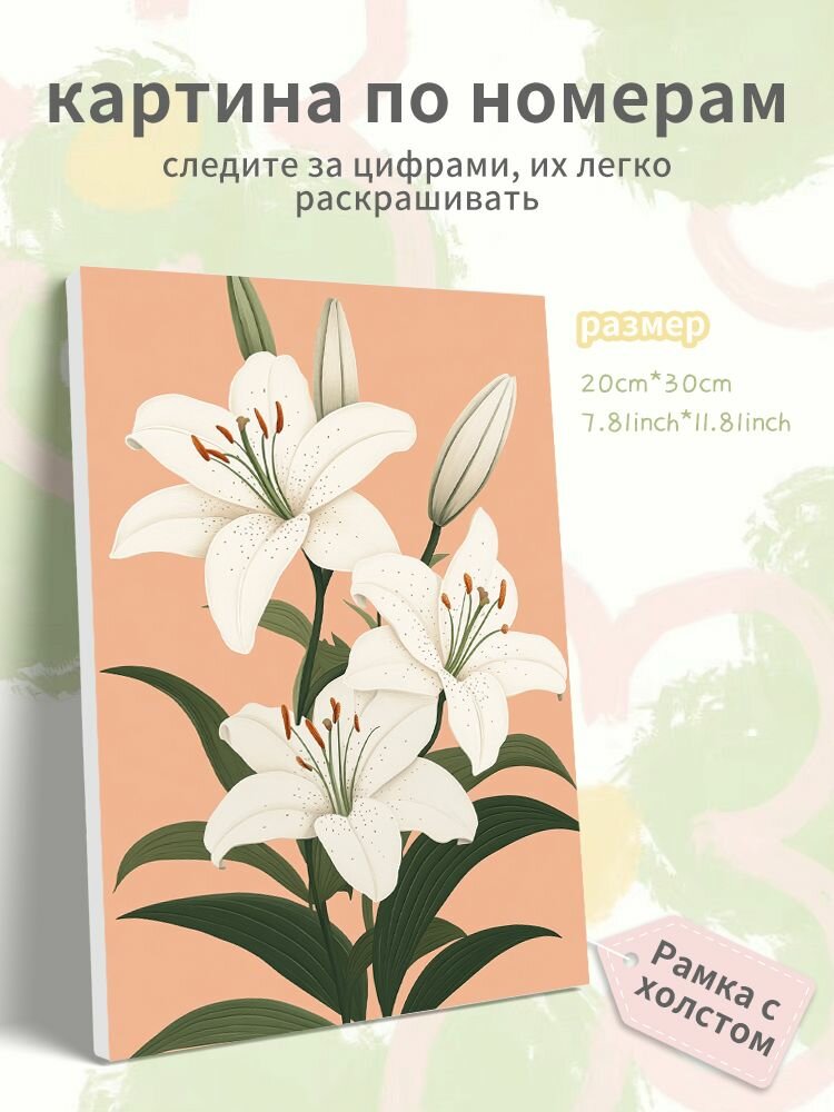 Картина по номерам на холсте с подрамником 20х30 "Белая лилия"