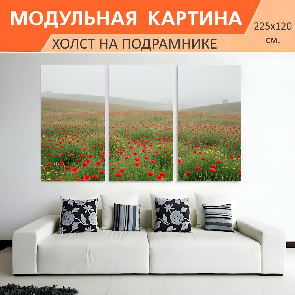 Модульная картина на холсте "Луг с маками в тумане. Цветущий сельский пейзаж с алыми маками, желтыми полевыми цветами и зелеными." триптих на подрамнике 225х120 см. для интерьера
