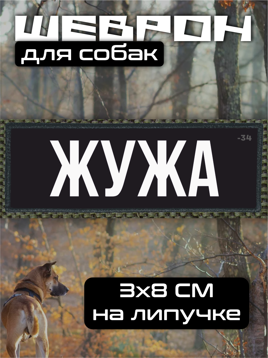 Шеврон на липучке для собак Жужа надпись