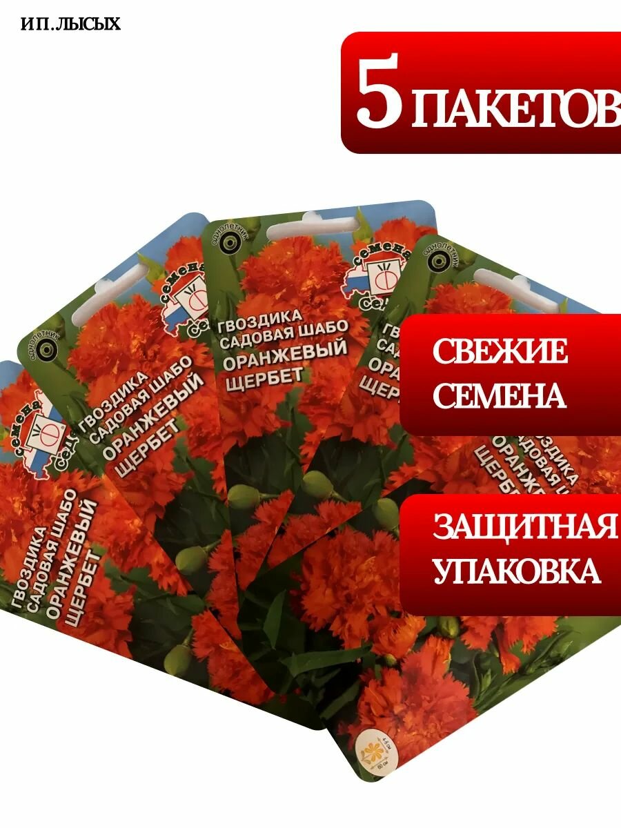 Семена Гвоздика "Оранжевый Щербет"