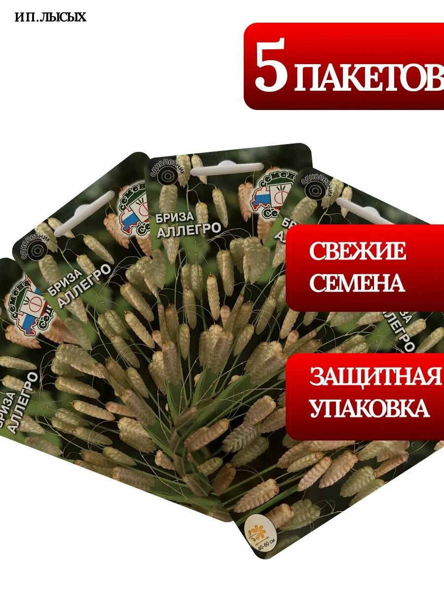 Семена Бриза "Аллегро"