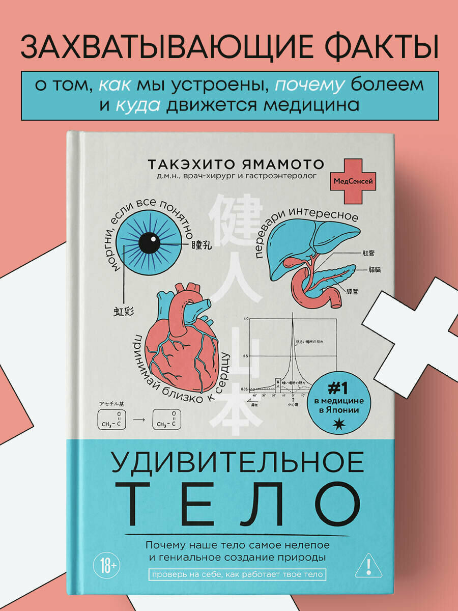 Ямамото Т. Удивительное тело. Почему наше тело самое нелепое и гениальное создание природы