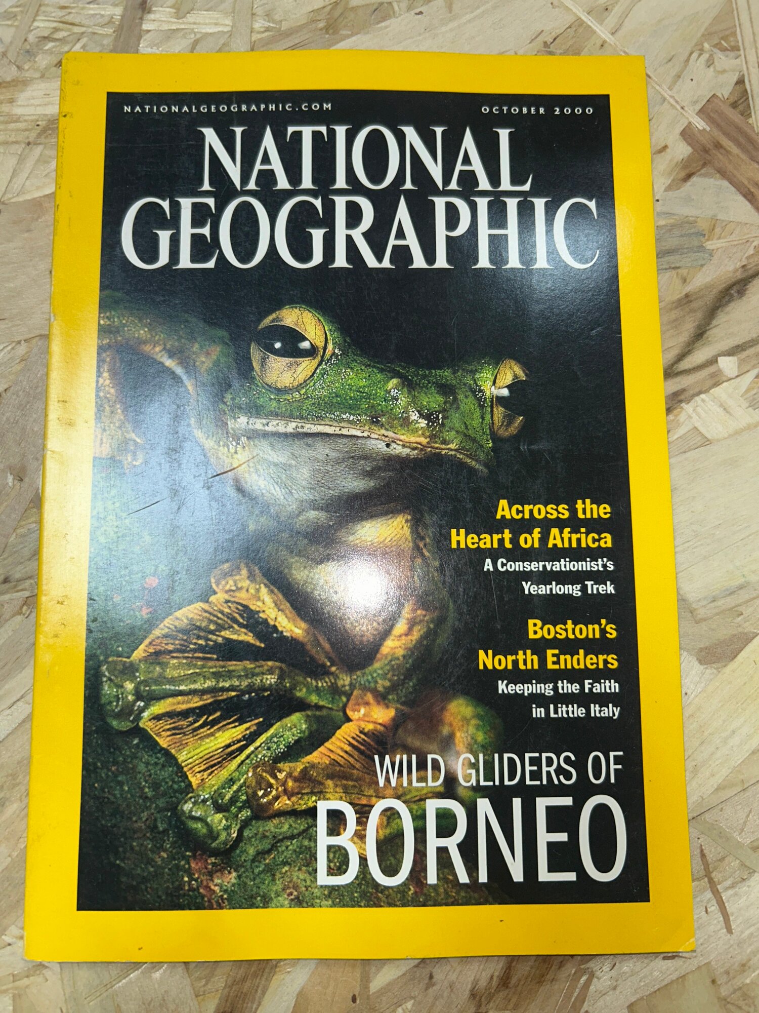 National Geographic October 2000 Wild Gliders of Borneo Sea Vents North Enders