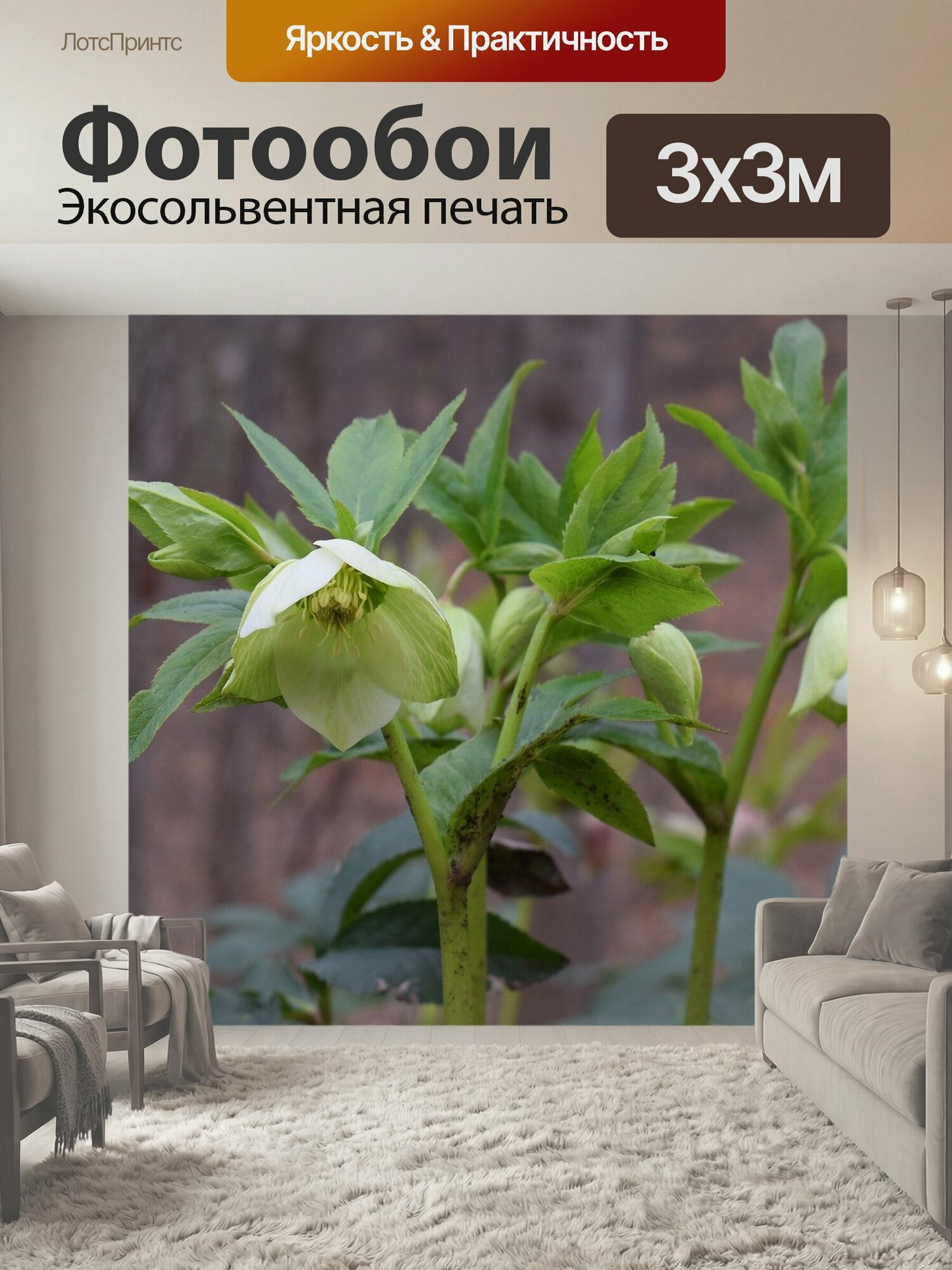 Фотообои "Зеленый морозник, зеленый постное розы, постная роза" 300x300 см. экосольвентная печать